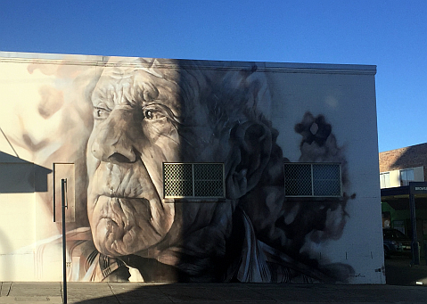 Legendary Street Artist Guido van Helten Completes Mural In Stanthorpe ...